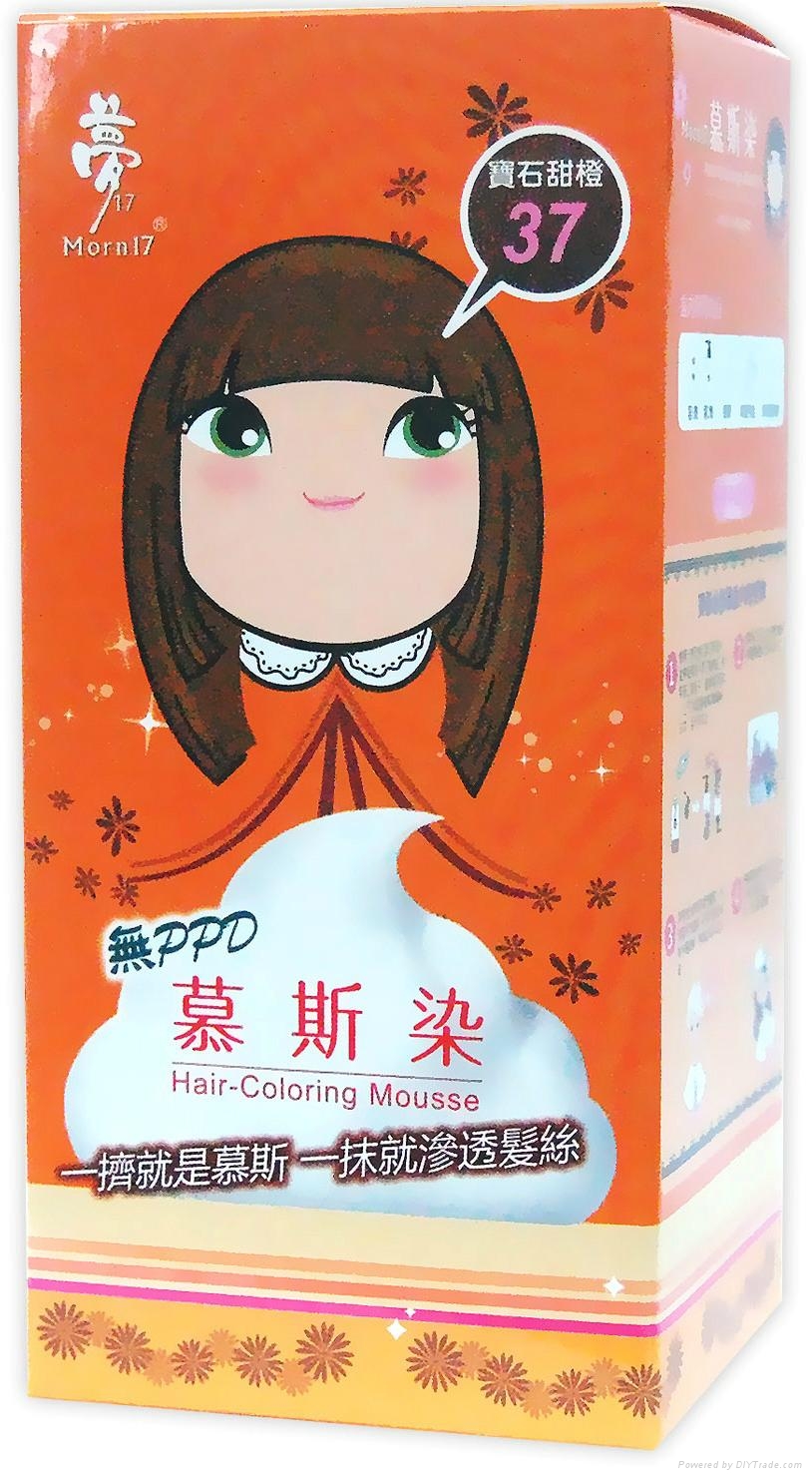 Hair-Coloring Mousse - Moon 17 (Taiwan Services or Others) - Personal ...