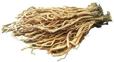 Hot sale Radix isatidis Extract Radix isatidis P.E Indigowoad Root ...