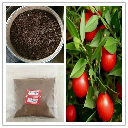 10%UV Ruscus aculeatus Butcher's Broom Root Extract Powder - 84012-38-4 ...