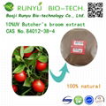 10%UV Ruscus aculeatus Butcher's Broom Root Extract Powder - 84012-38-4 ...