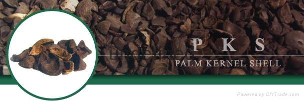 Palm Kernel Shell (PKS) (Thailand Trading Company) - Agriculture ...