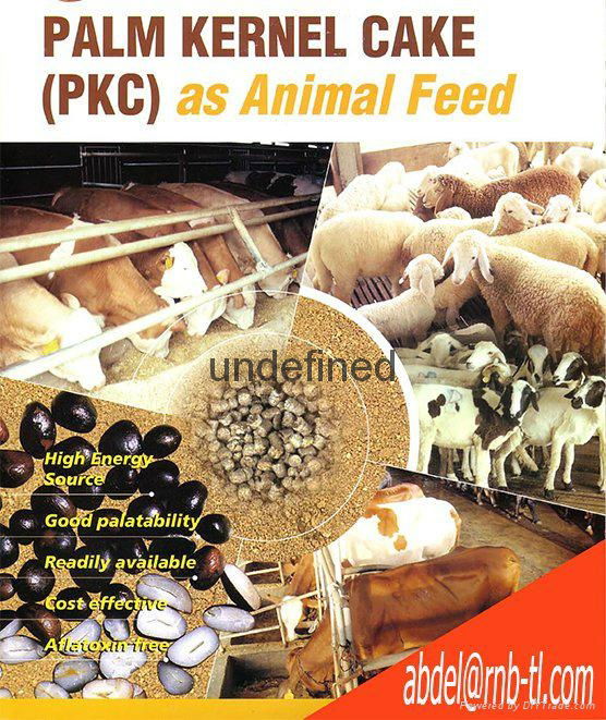 Palm Kernel Cake/Palm Oil Sludge - PKC (Thailand Trading Company ...