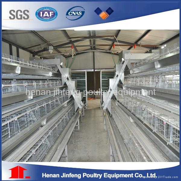 high quality automatic chicken cage for sale - JF-FY-A01 - jinfeng ...