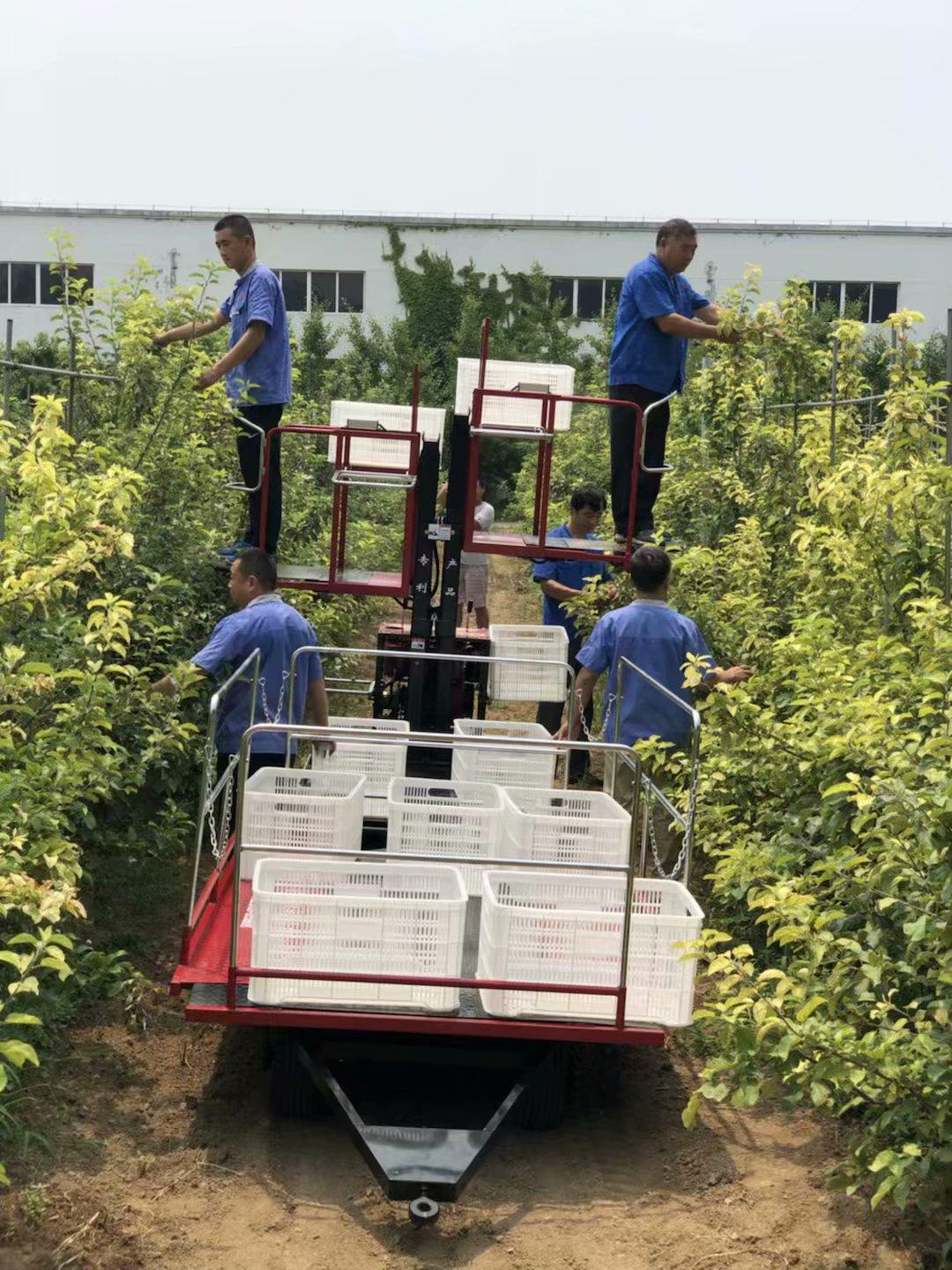 crawler type garden diesel engine transporter work platform - 4PZ-120 ...