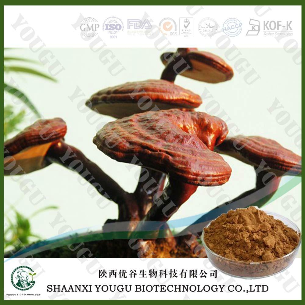 China Herbal extract 10% reishi polysaccharides ganoderma lucidum ...