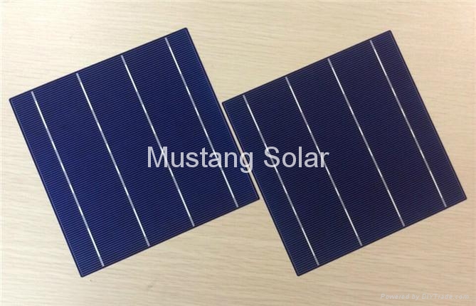 6" inch 3BB Poly Solar Cell made in Taiwan - IM156B4 - Motech NSP ISEC ...