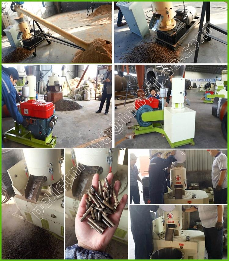 Mini Flat Die Pellet Machine for Home Using - SKJ200 - TONY (China ...