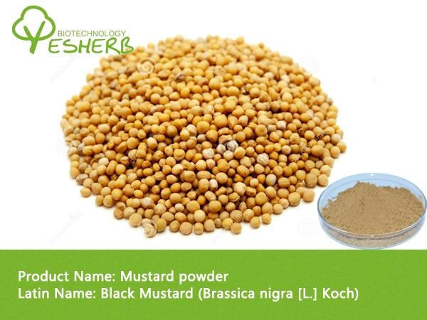 wholesale price mustard powder (China Manufacturer) - Spices Seasonings ...