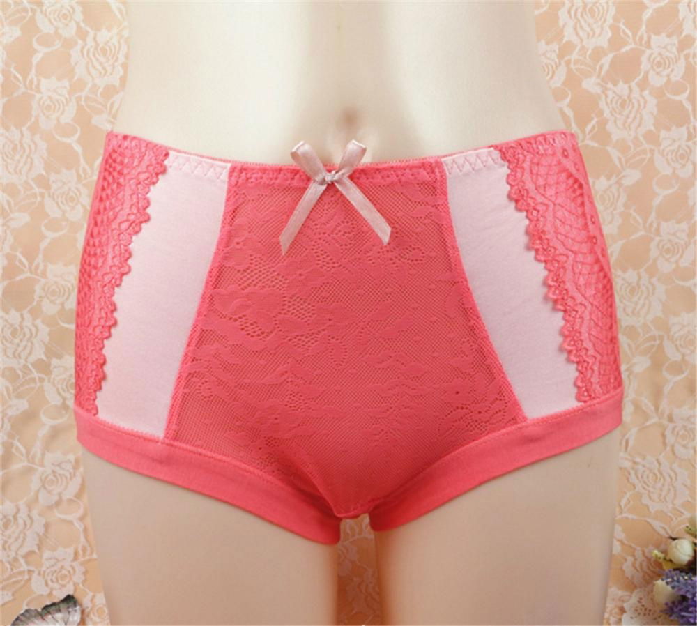 Sexy Women Lace Modal Briefs Plus Size Breathable Lady Panties Underwear Women C - NP-F-01 ...