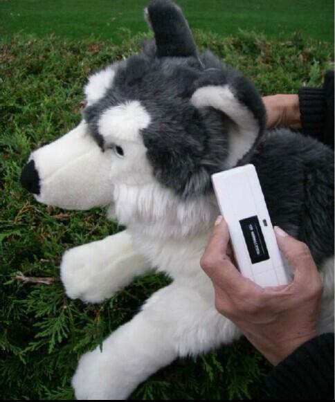 portable USB Small pet animal microchip reader - RT10 - Raybaca (China ...