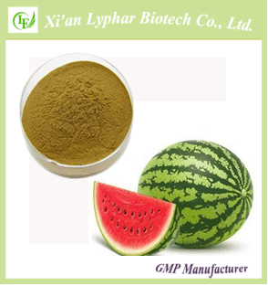 100% Natural Watermelon Rind Extract Powder - Fruit Plant - Lyphar ...