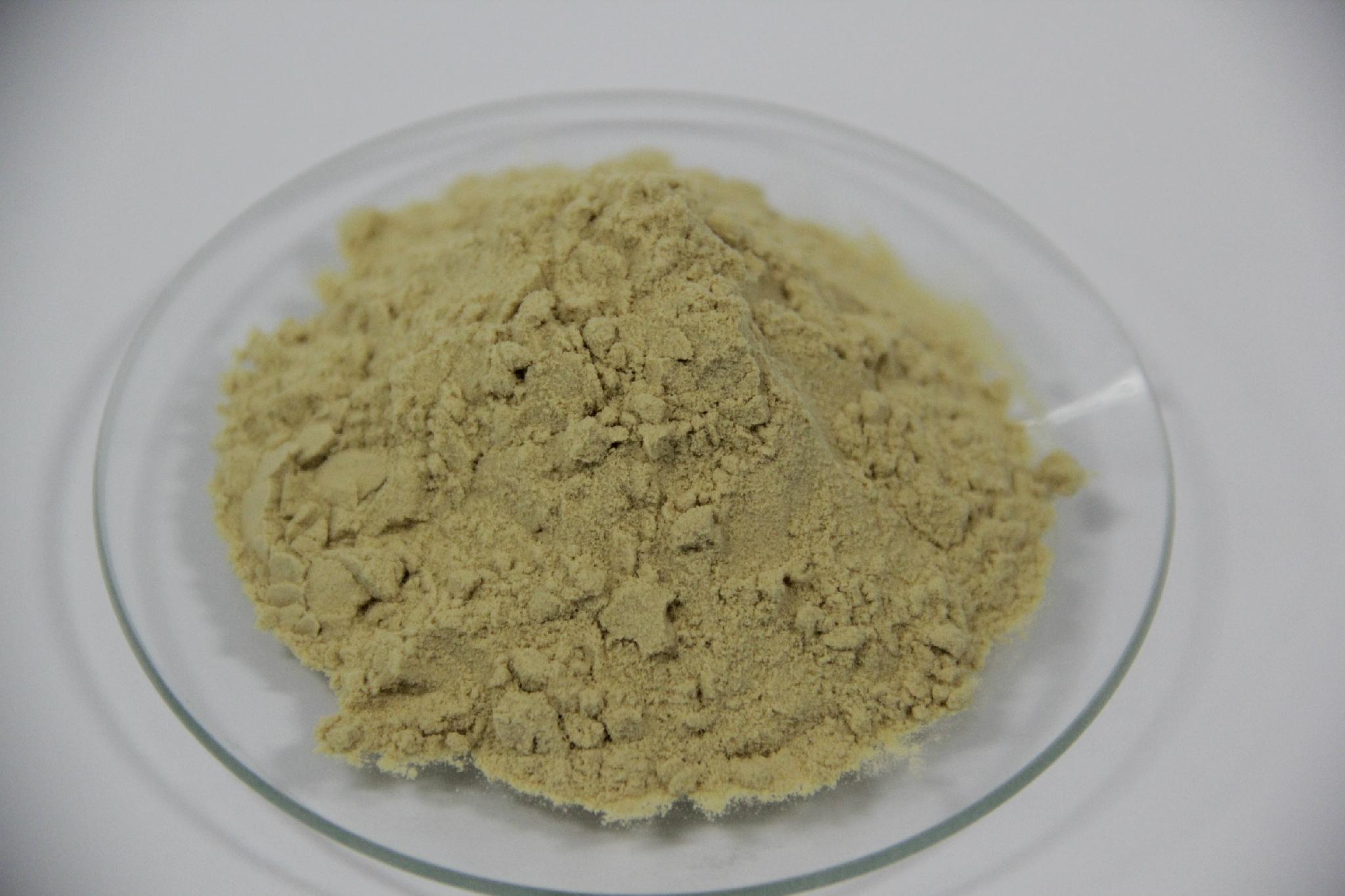 Atech bakery yeast hydrolysate high protein yeast Yakangbao450 - feed ...