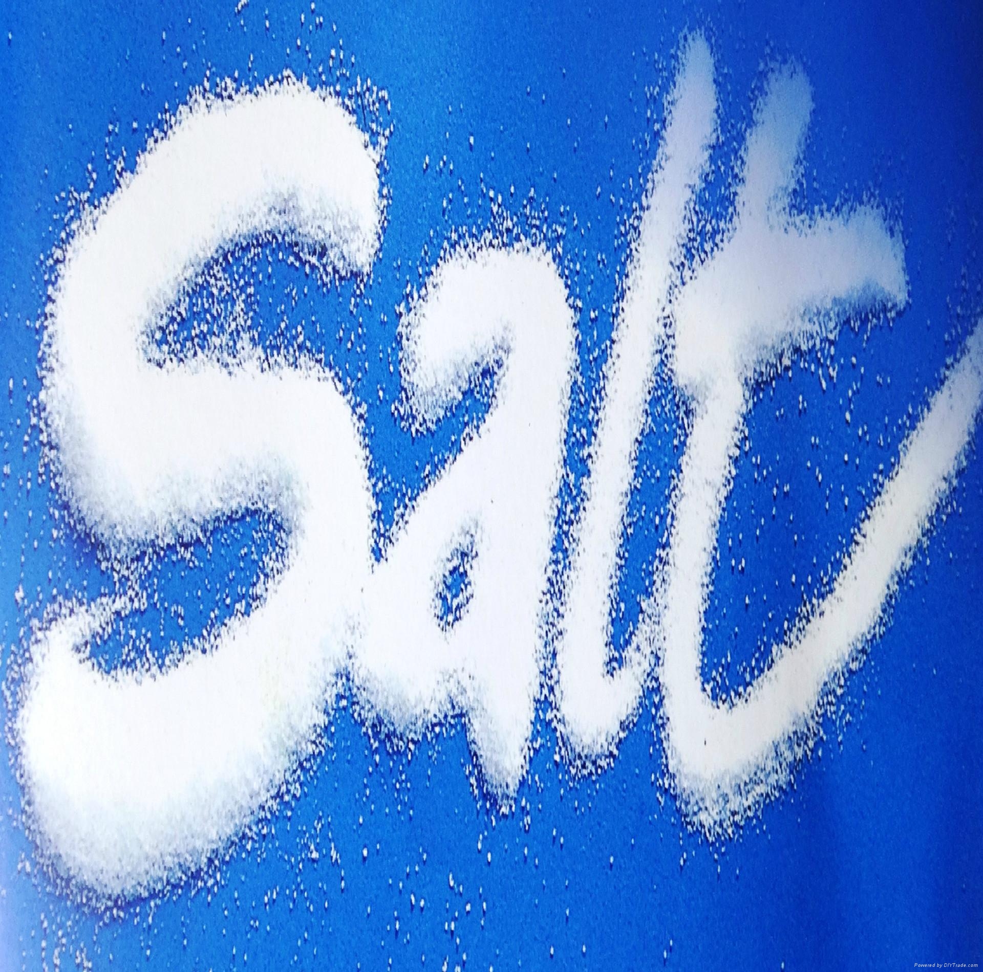 salt - refined - kingsalt (China Manufacturer) - Inorganic Salt ...