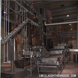 Hang Type Cattle Red Viscera Conveying Systems (null Manufacturer ...