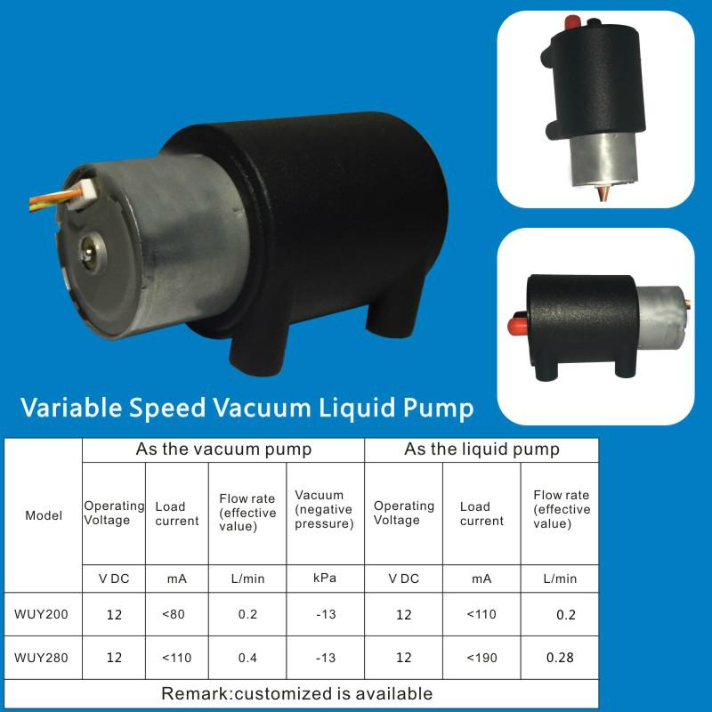 Micro Variable Speed Vacuum Liquid Pump - WUY - Hilin (China ...