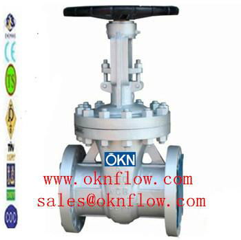 1 Carbon steel flange RF RTJ gate valve - OKN (China Trading Company ...