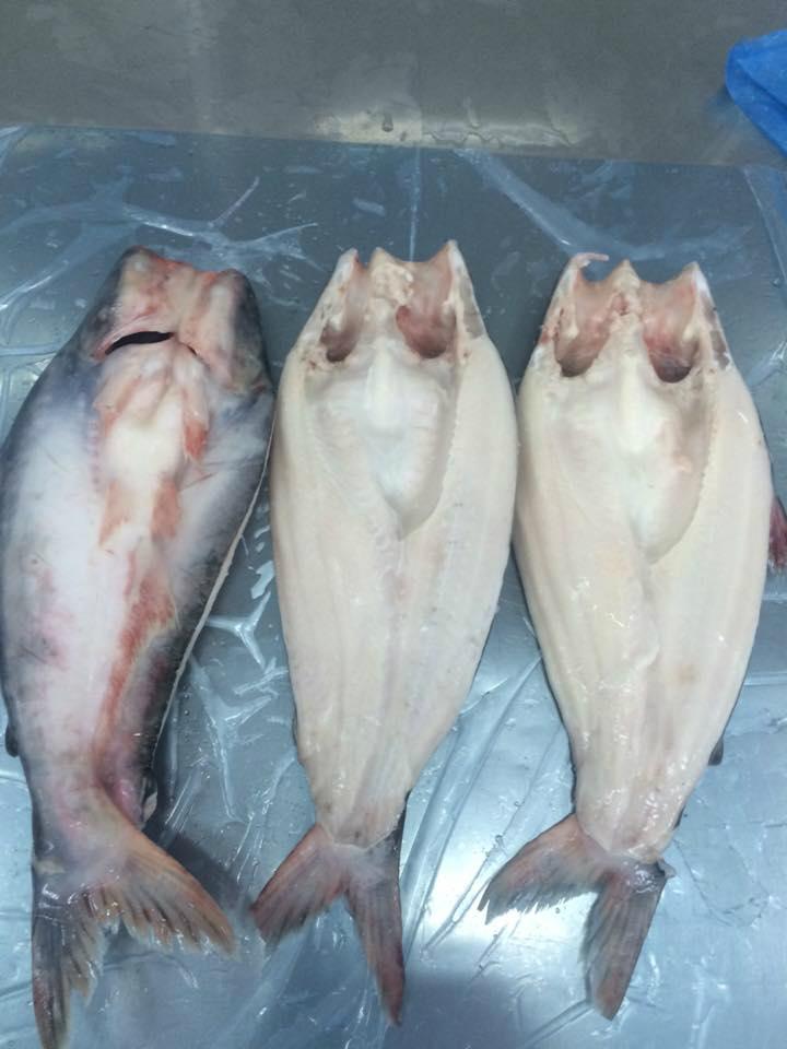 Pangasius Butterfly - AGIFISH (Vietnam Manufacturer) - Frozen Food ...