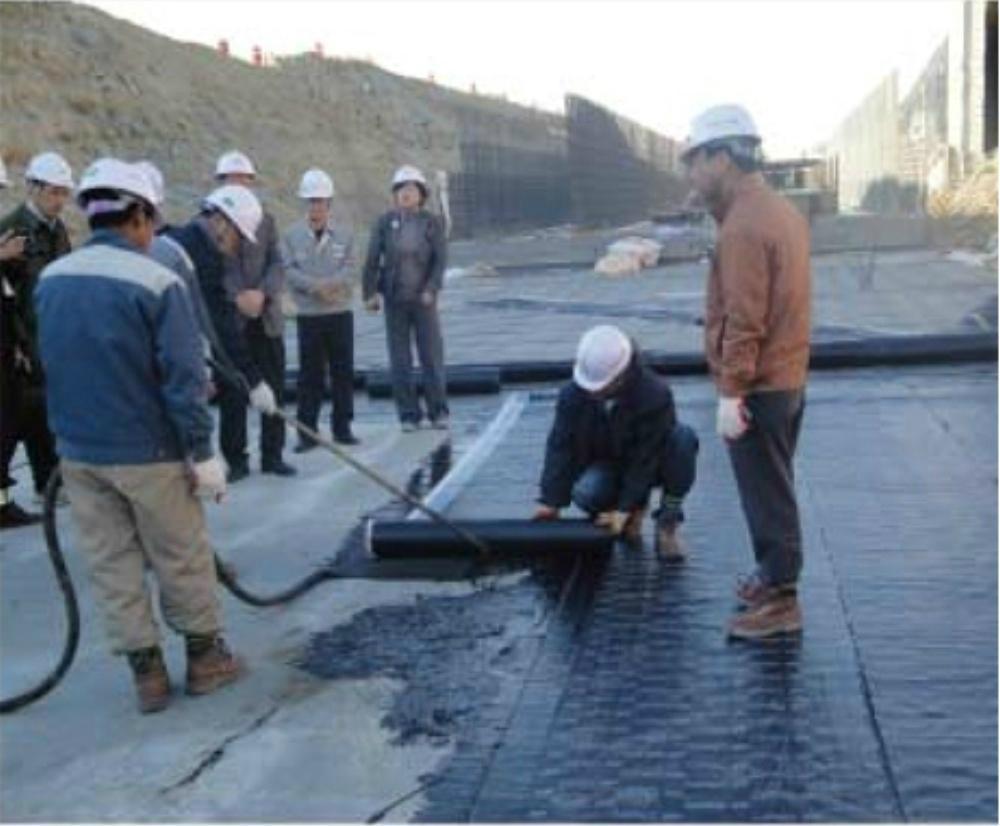 APP modified bitumen membrane - hongyuan (China Manufacturer) - Other ...