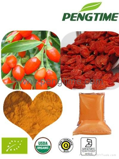 organic goji berry powder - XPT-16-0602XGQZ - pengtime (China Trading ...