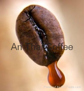 FROZEN COFFEE EXTRACT - SR03, SR04, SC - AnThaiCafé (Vietnam ...