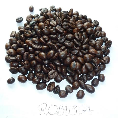 ROASTED ROBUSTA COFFEE BEANS - 10 - Anthaicafe (Vietnam Manufacturer ...