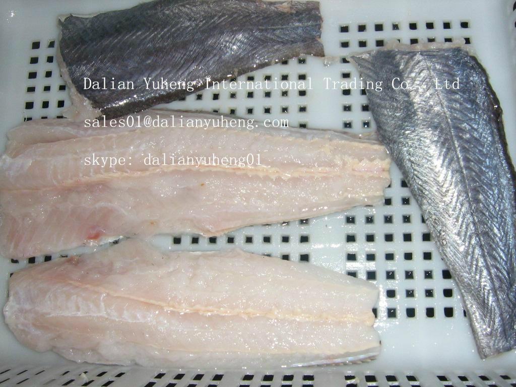 FROZEN HOKI FILLET - YUHENG (China Manufacturer) - Aquatic Products ...