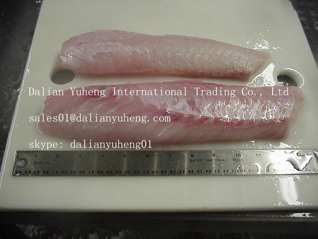 FROZEN PACIFIC HAKE FILLETS - YUHENG (China Manufacturer) - Aquatic ...