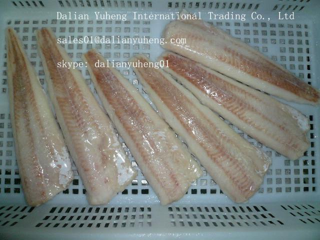 FROZEN PACIFIC HAKE FILLETS - YUHENG (China Manufacturer) - Aquatic ...