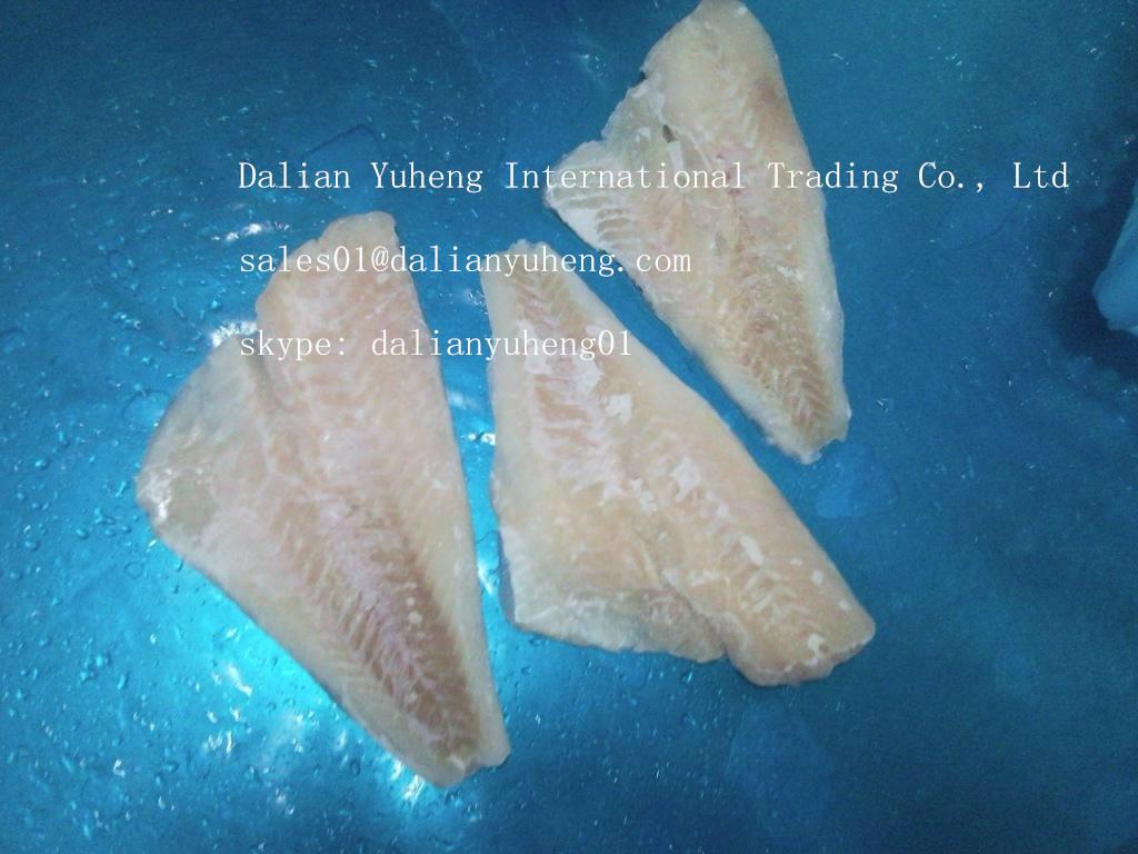 FROZEN REDFISH FILLETS(ATLANTIC OR PACIFIC) - YUHENG (China ...
