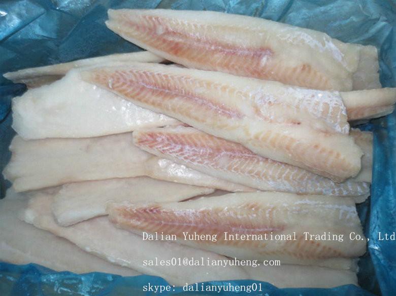 FROZEN ALASKA POLLOCK FILLETS - YUHENG (China Manufacturer) - Aquatic ...