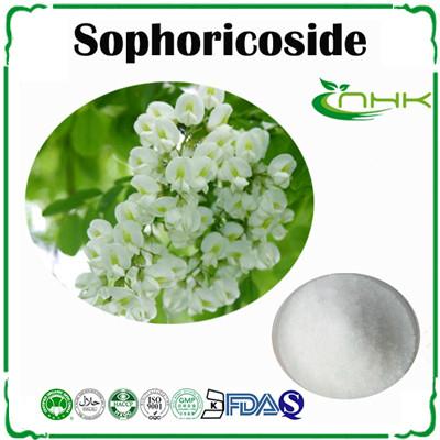 Fructus sophorae extract 98% sophoricoside - 152-95-4 - HUIKE (China ...