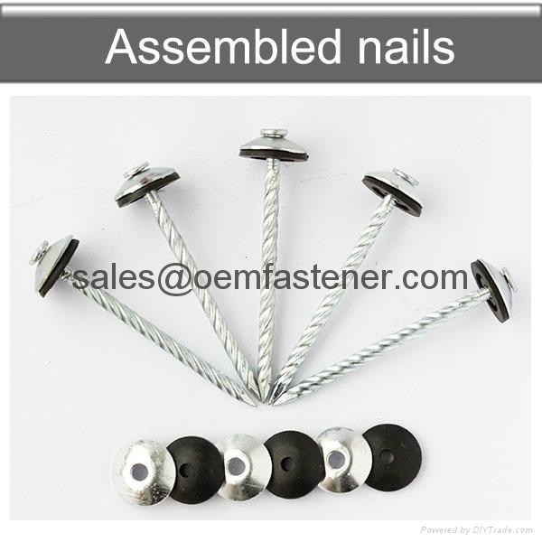 Assembled roofing screw nails - OEM (China Manufacturer) - Other Door ...