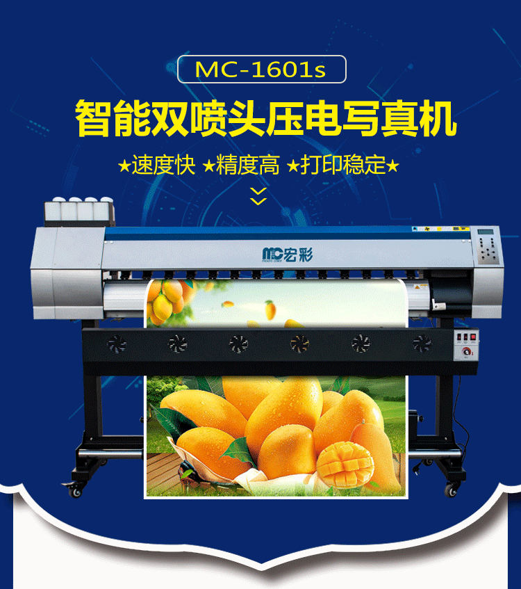 With Eco solvent ink Double print heads Dx11 Eco Solvent printer ...