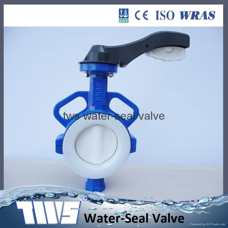 TWS-FD PTFE lug butterfly valve (China Manufacturer) - Valves - Machine ...