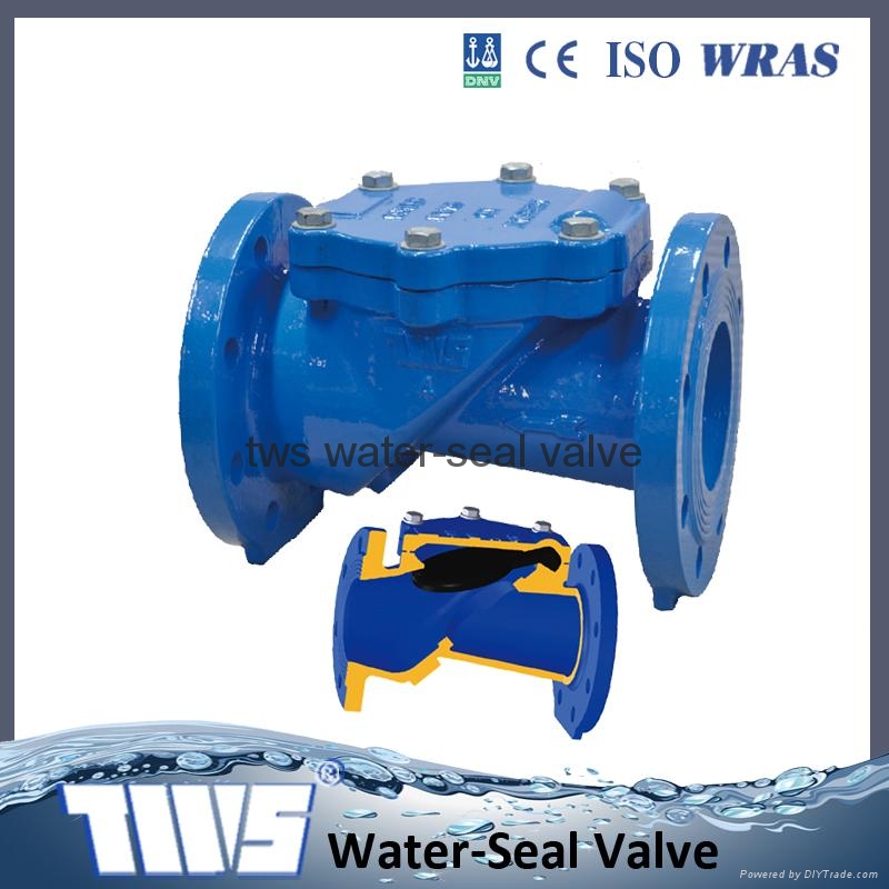 Rubber seated swing check valve - CK-BFV - TWS (China Manufacturer ...