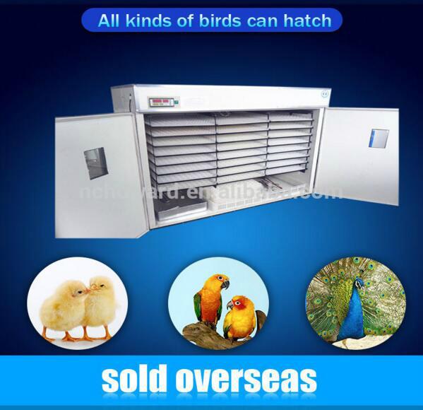 2016 Newest cheap automatic solar eggs incubator in south africa YZITE ... 2016 Newest cheap automatic solar eggs incubator in south africa YZITE ...