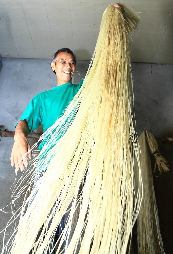 Great quality automatic ramie decorticating fiber machine - ZGM-4401 ...