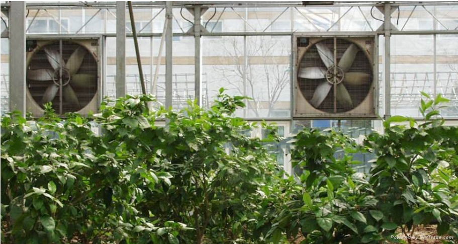 Push Pull System Ventilation Exhaust Fan - JLF(d)-50" - Jinlong (China ...