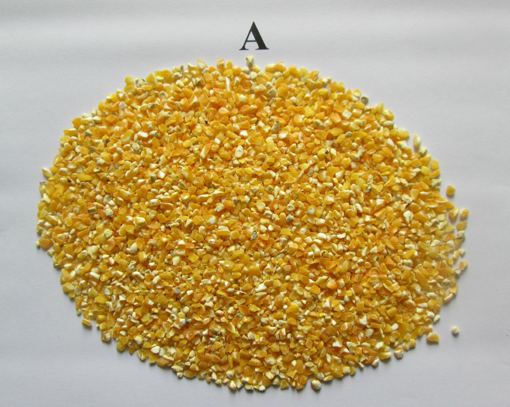 Corn Grits - Vasa101 - Vasafeed (Vietnam Manufacturer) - Grain ...