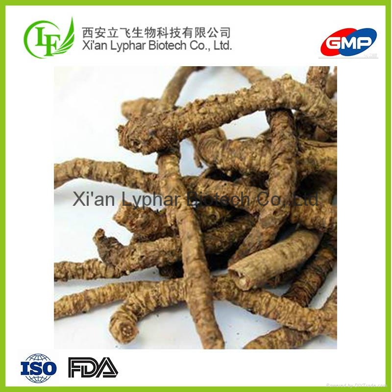 Hot Sales Lyphar ISO Certificate Wholesale Coptis Root Extract ...