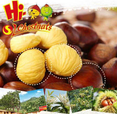 ringent organic chestnut snack - Shenli (China Manufacturer) - Nuts ...
