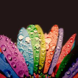 UV Screen Embossed Varnish(With 3D Effect) - UB/UT Series - MEG (China ...