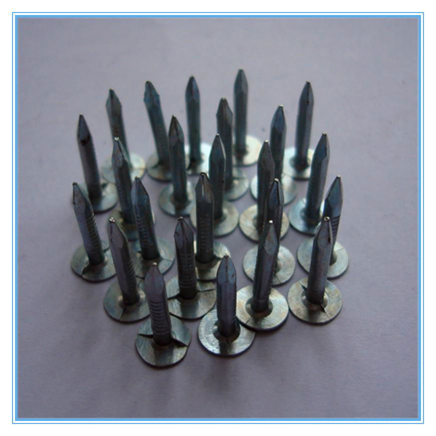 Galvanised Twisted Shank Clout Roofing Nail - 3.1X22mm - MZ (China ...