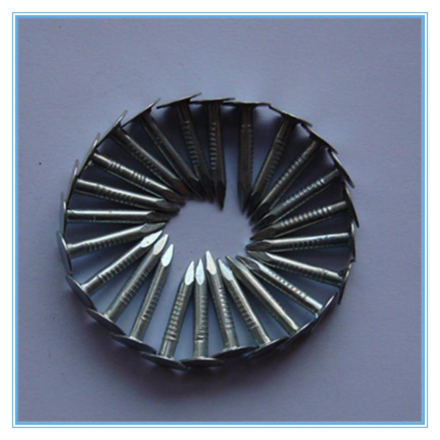 Galvanised Twisted Shank Clout Roofing Nail - 3.1X22mm - MZ (China ...