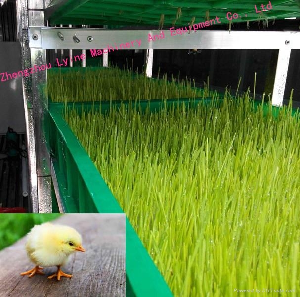 hydroponic barley grass sprout system barley grass growing equipment ...