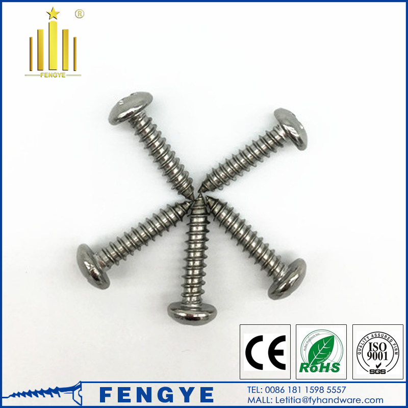 Stainless Steel Phillips Head Self Tapping Screw - FengYe (China ...
