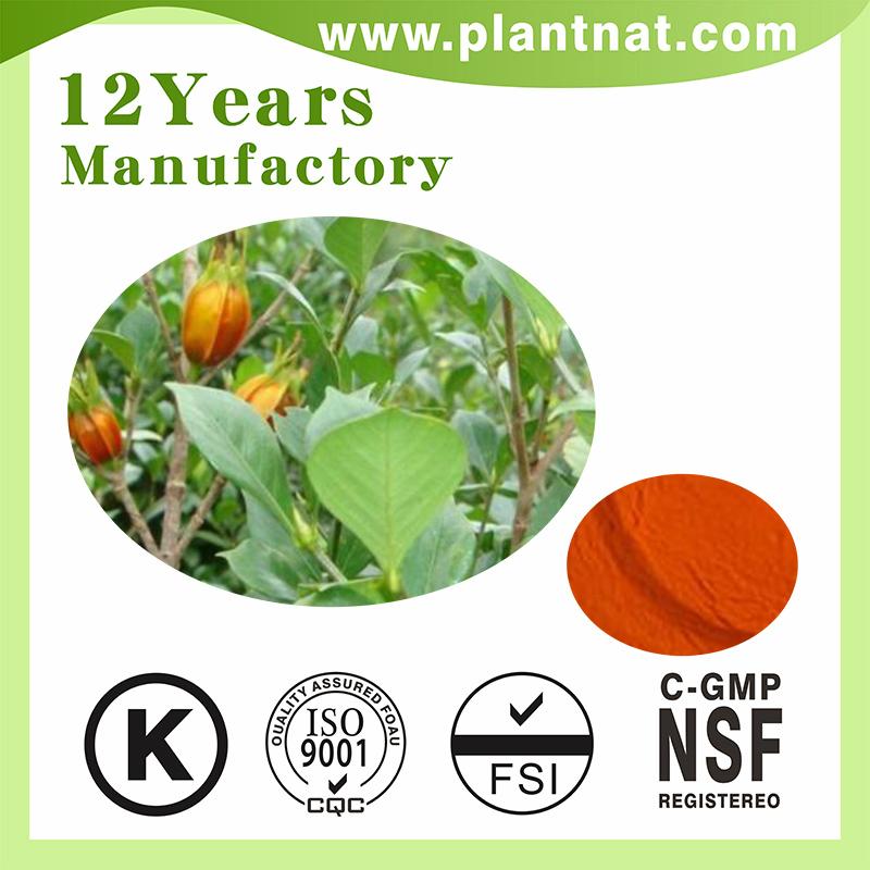 Gardenia Yellow - Gardenia 001 - plantnat (China Manufacturer) - Plant ...