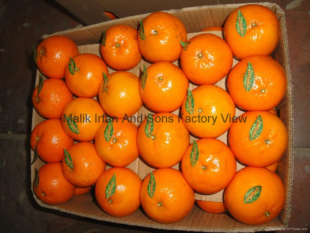 Mandarin Orange - 100 - M&S (Pakistan Trading Company) - Fruit ...
