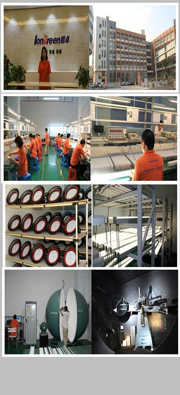 Shenzhen Longreen Lighting Co., Ltd. (China Manufacturer) - Company Profile