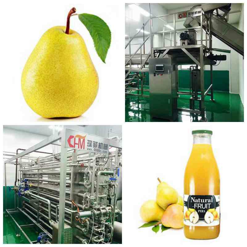 Pear processing line, juice production line - CFM-PL03 - ChenFei (China ...